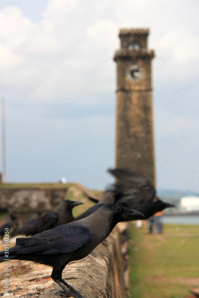 The Galle Fort, an old colonial fortified bastion in Galle, Sri Lanka ...