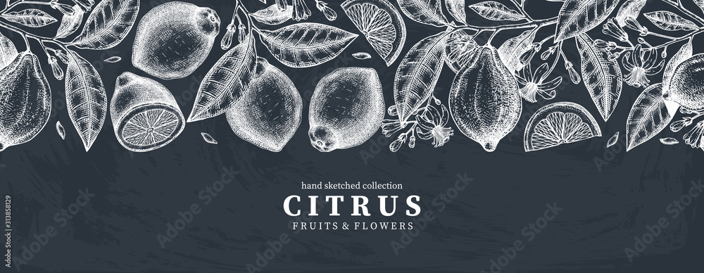 Ink hand drawn citrus fruits banner design on chalkboard. Vector lemons ...
