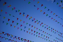 Many Small Yellow Flags Free Stock Photo - Public Domain Pictures