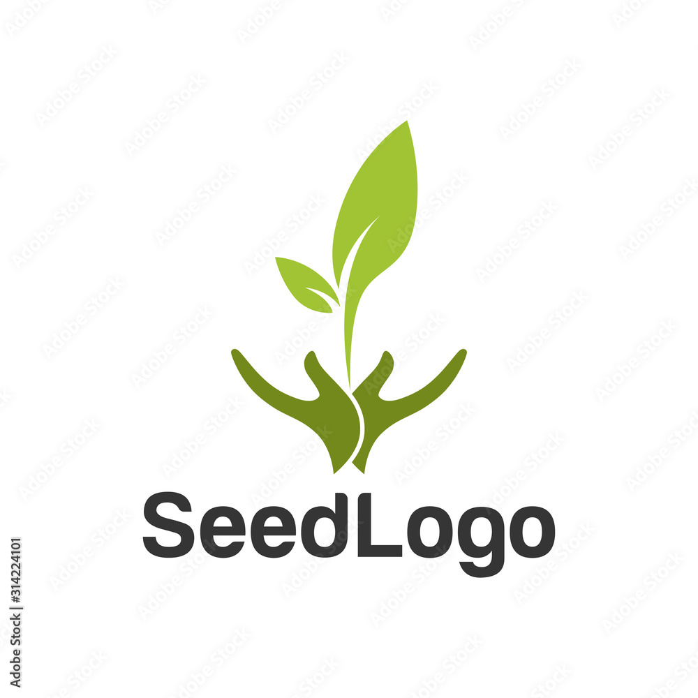 Growing Seed Logo Designs Vector Seed Stock Vector Stock Vector | Adobe ...
