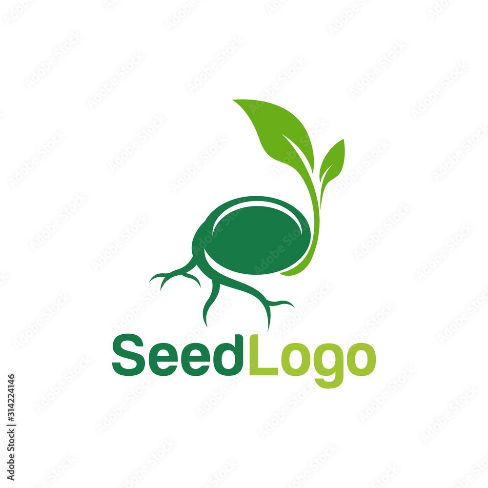 Growing Seed Logo Designs Vector Seed Stock Vector Stock Vector | Adobe ...