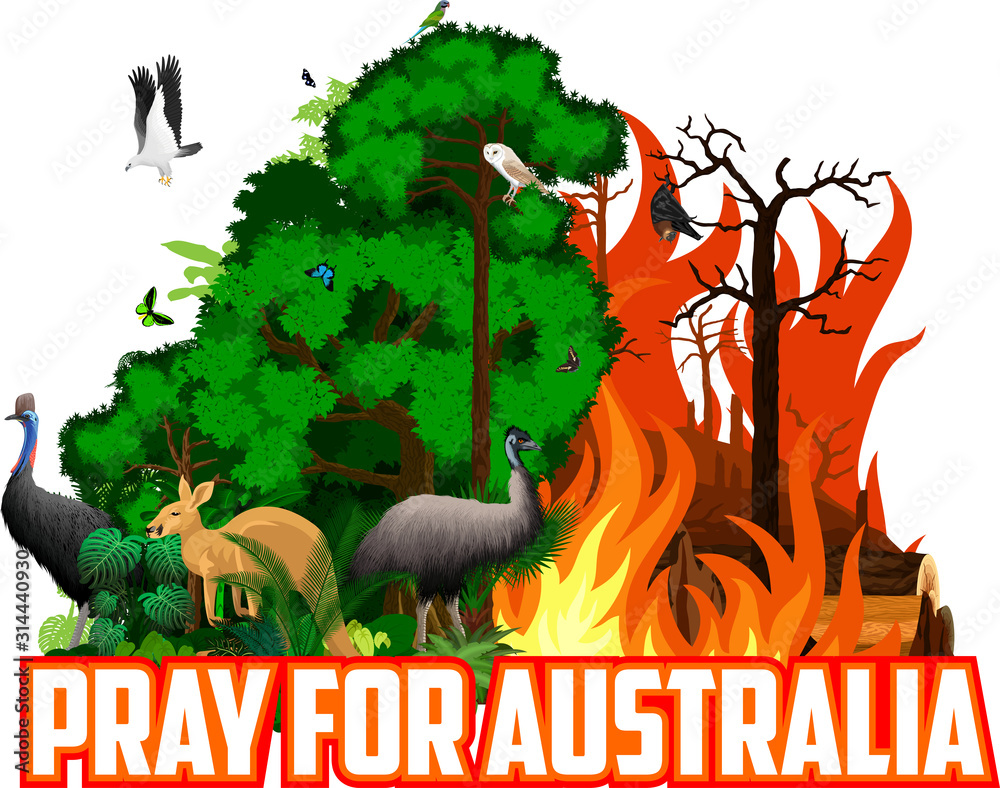 Pray for Australia Save Green Jungle Rainforest - Fire Deforestation ...