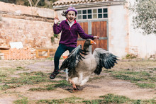 Little Girl Afraid Of Goose Free Stock Photo - Public Domain Pictures
