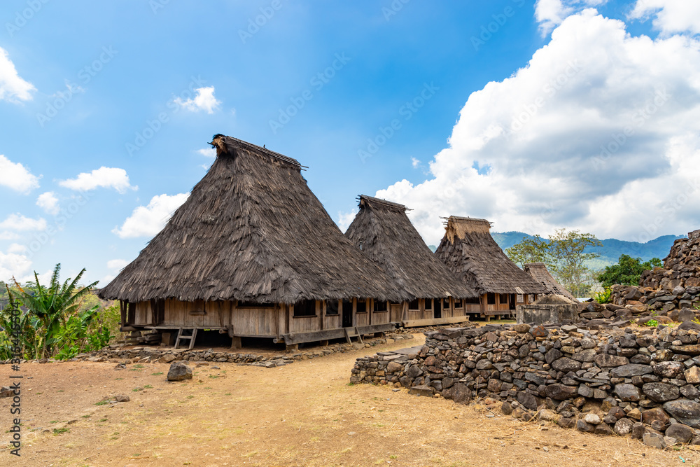Wologai Ethnic Spiritual Village on Flores island. A traditional houses ...