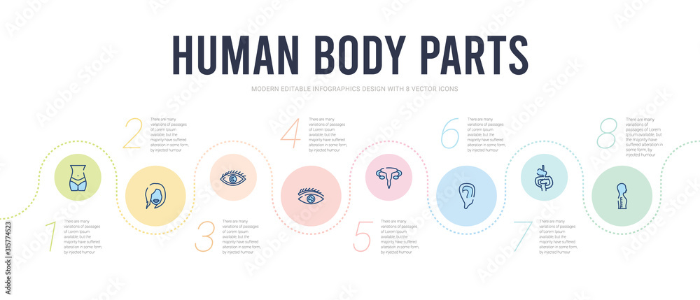 human body parts concept infographic design template. included column ...
