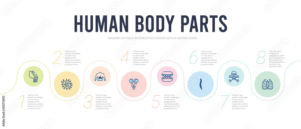Vector de Stock human body parts concept infographic design template ...