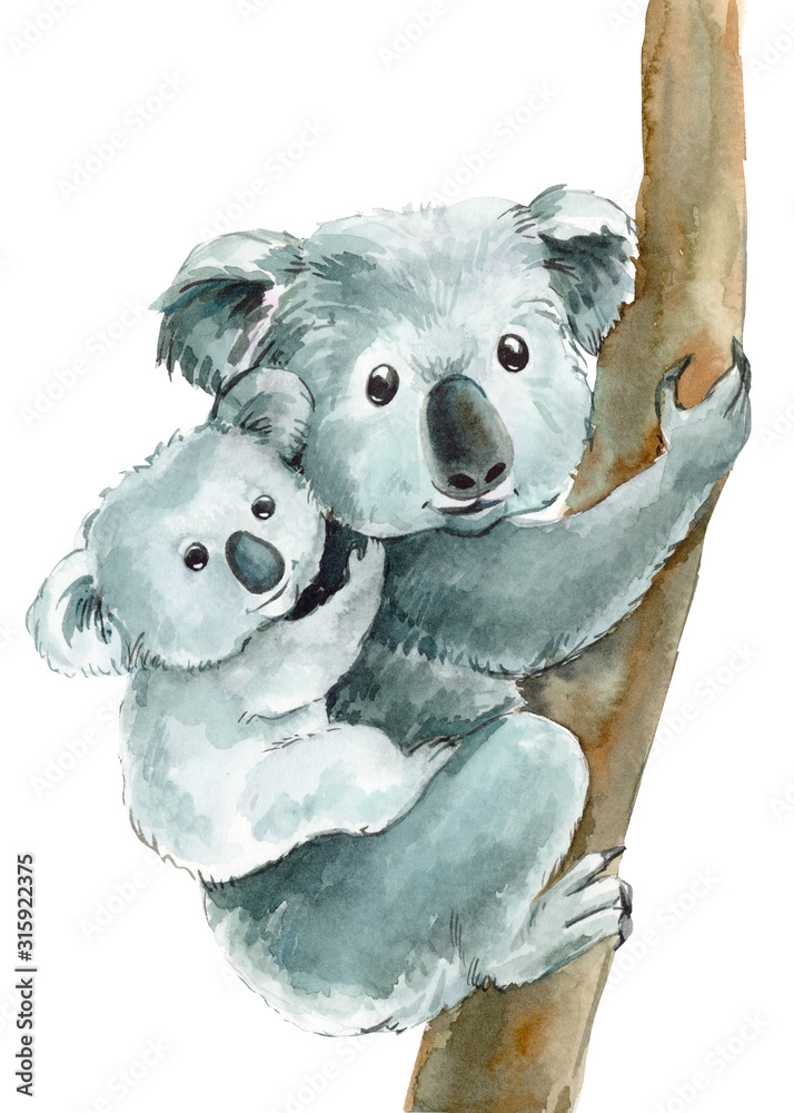 cute koalas mom and baby on an isolated transparent background ...