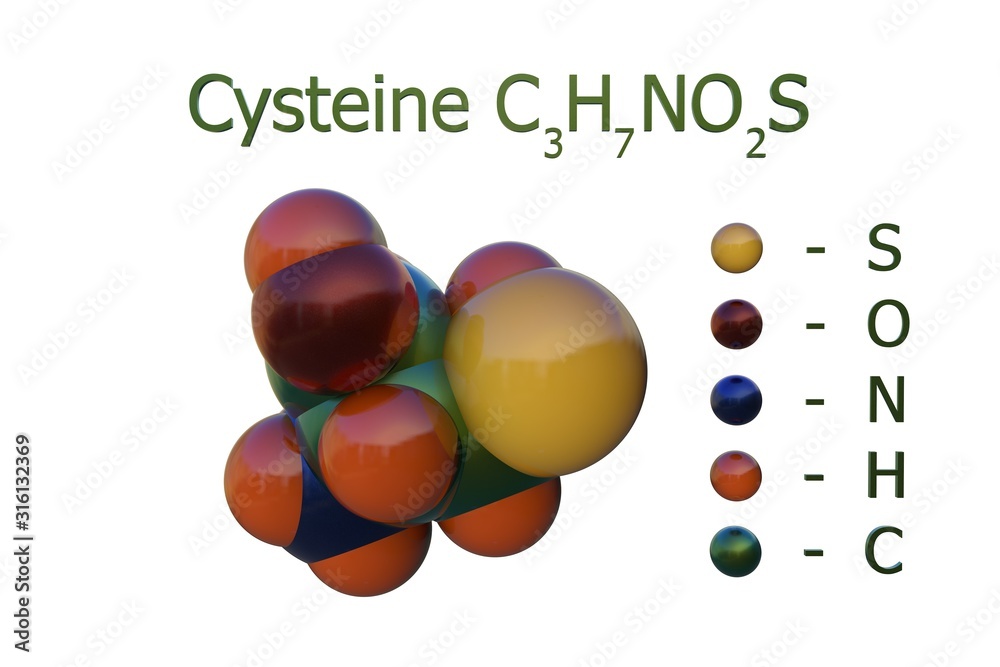 Structural chemical formula and space-filling molecular model of ...