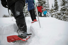 Knee Deep In Snow Free Stock Photo - Public Domain Pictures
