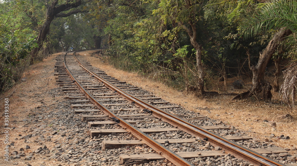 Railway track laid down in the dense forest of India. Indian rail ...