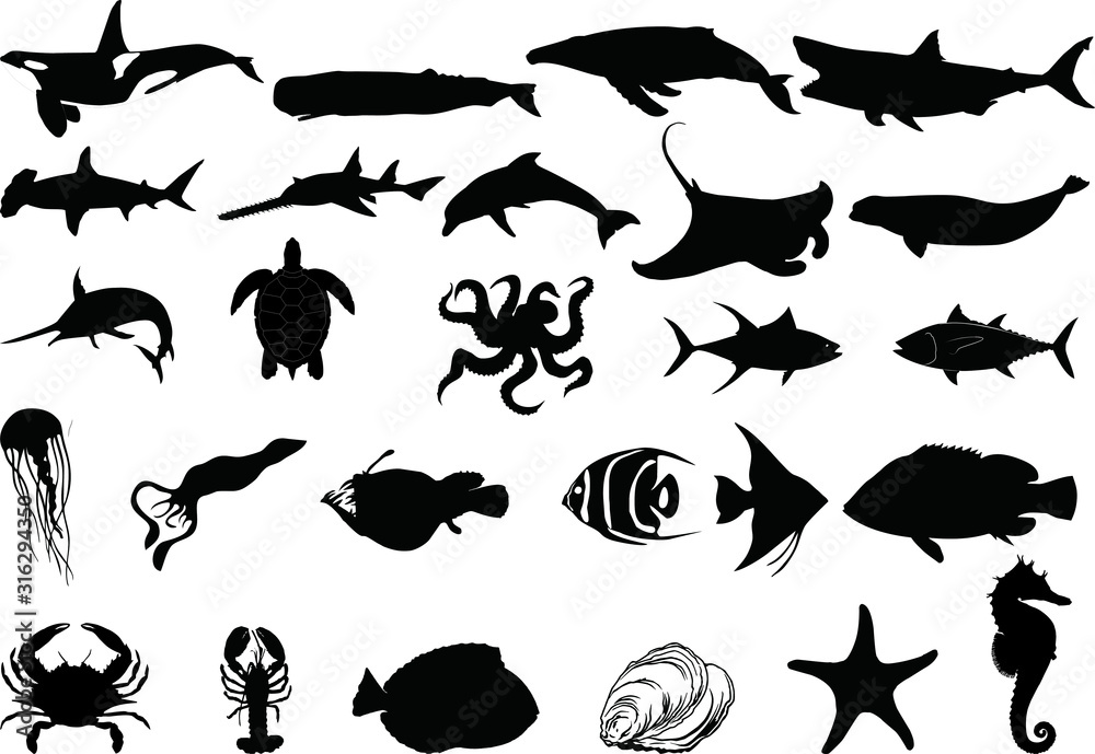 Sea life vector silhouette isolated on white background Stock Vector ...