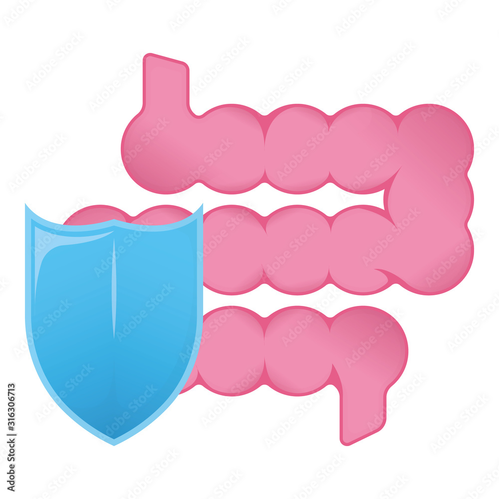 Protect Intestine Concept Icon and Label. Health Research Symbol, Icon ...