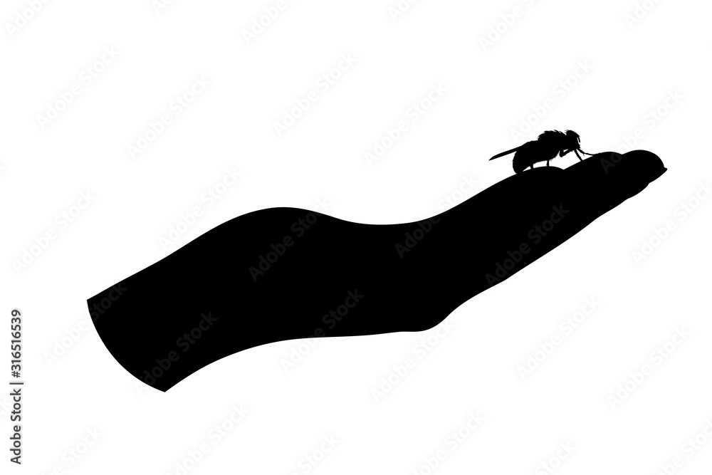 Vector silhouette of fly sitting in human palm on white background ...