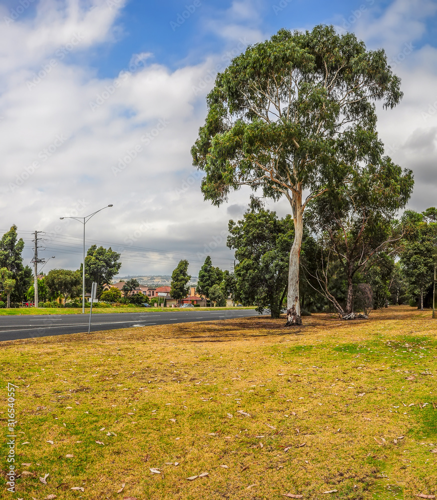 The Princes Highway is a major road in Australia, extending from Sydney ...