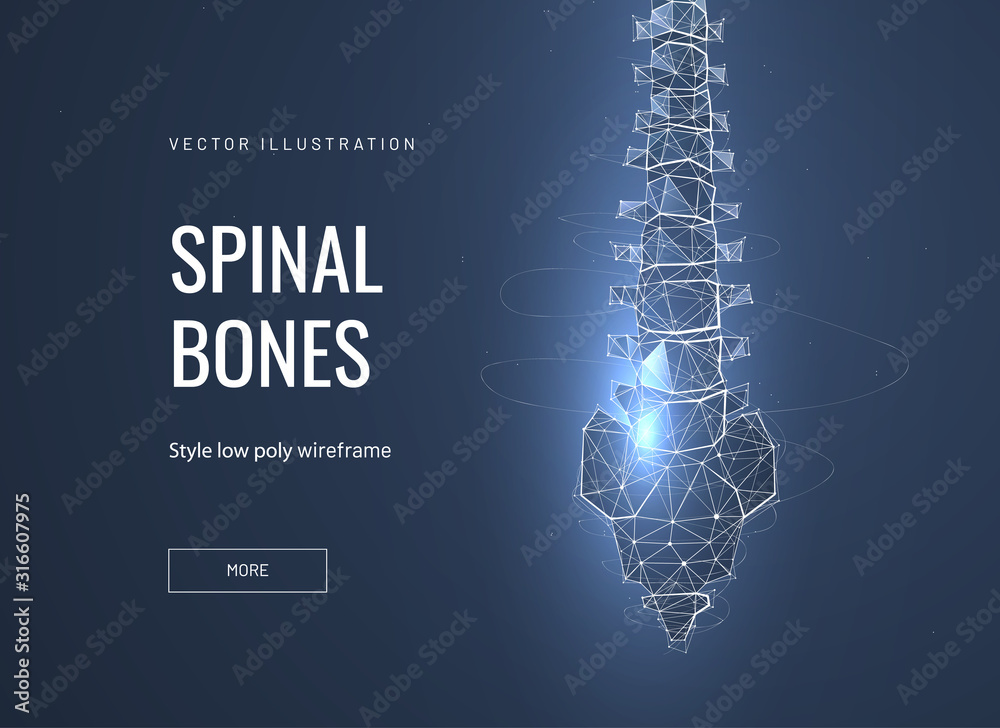 Spinal bones, vertebra low poly wireframe landing page template Stock ...