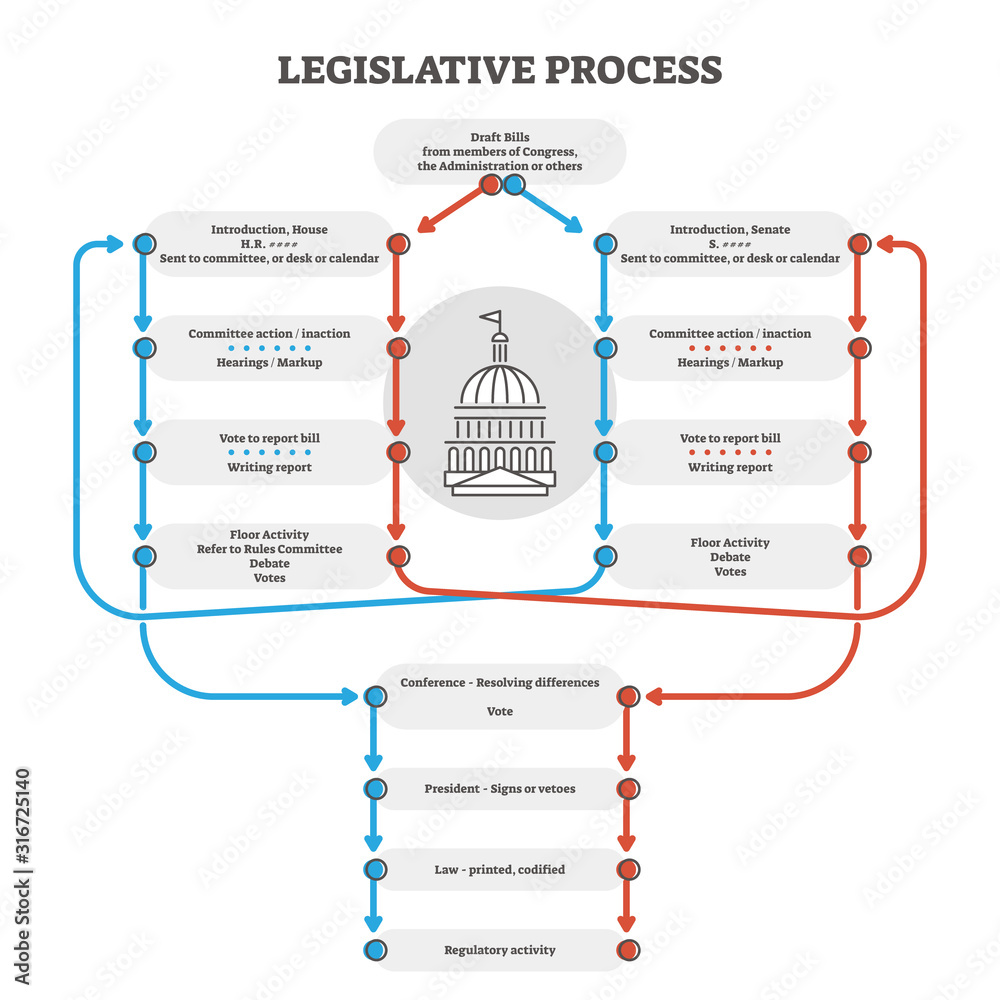 Legislative process outline diagram explanation scheme, vector illustration Stock Vector | Adobe ...