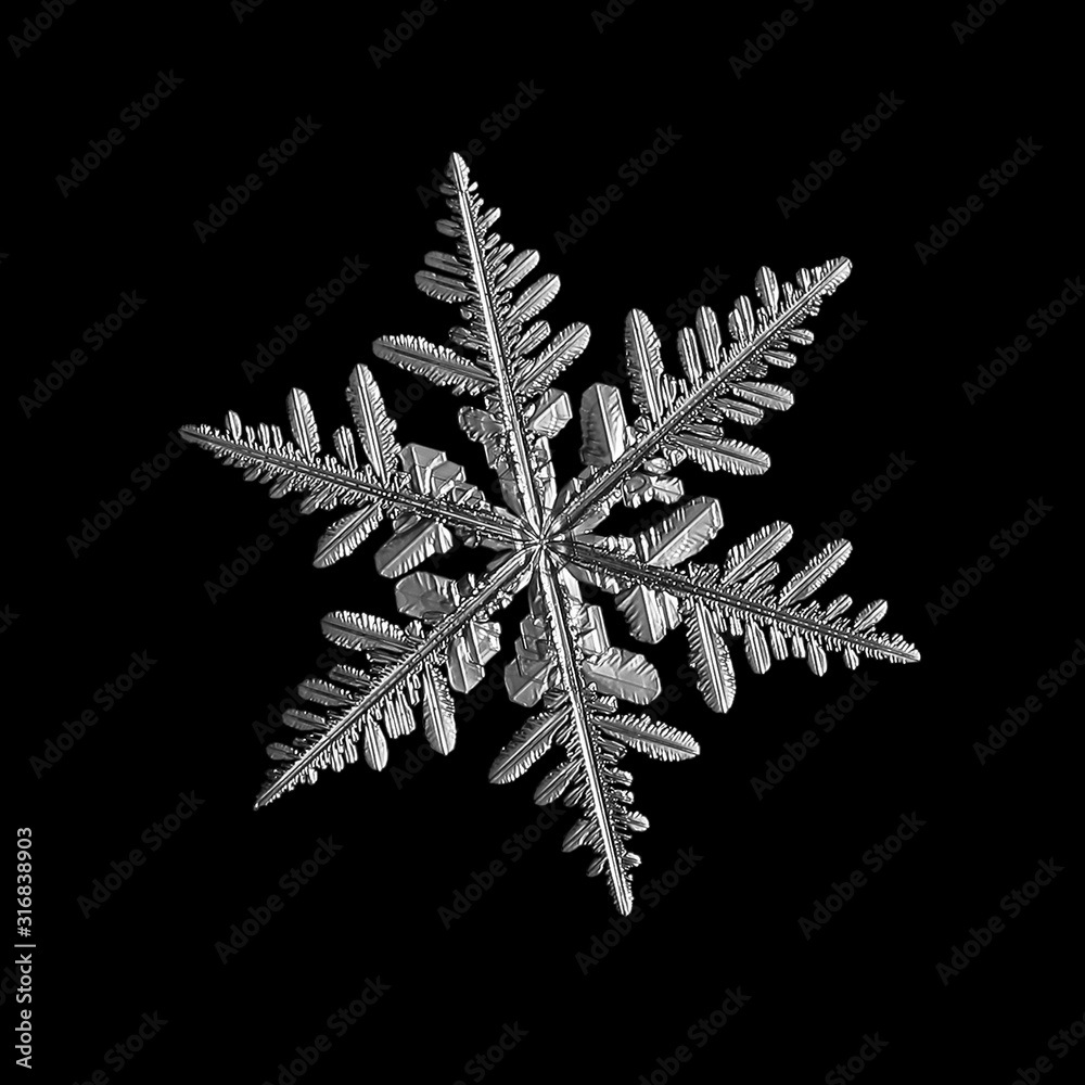 Snowflake isolated on black background. Macro photo of real snow ...