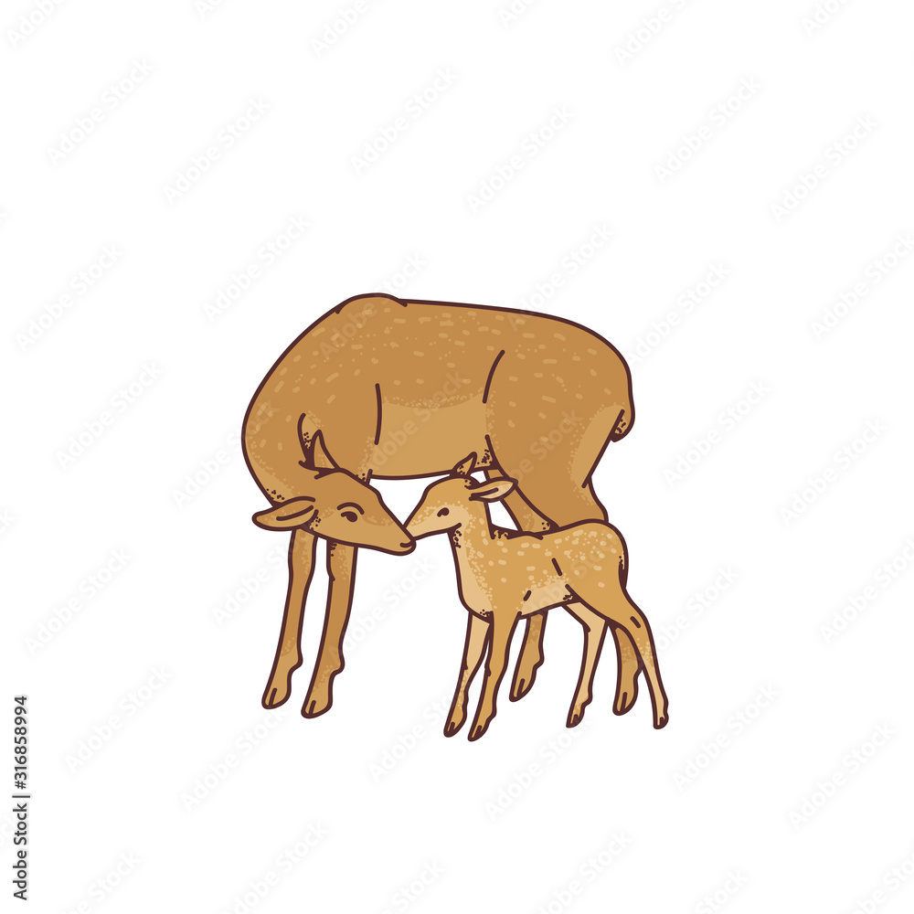 Wild deer female mother with baby fawn vector outline sketch ...