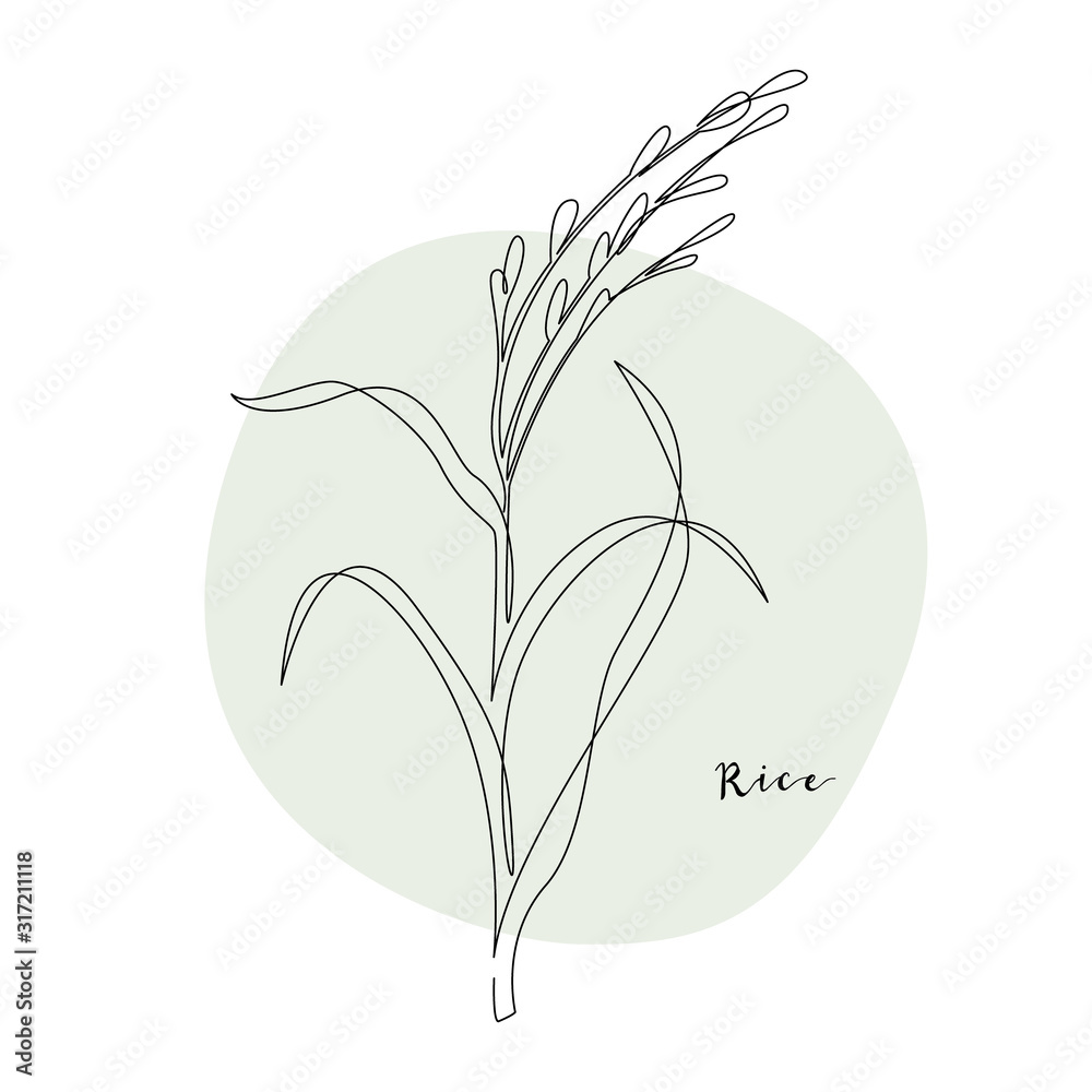 Continuous line rice, grain crop. Vector line art. Perfect for logo ...