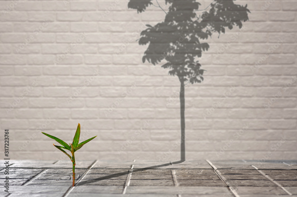 Focus on little green plant growing through from crack of pavement with ...