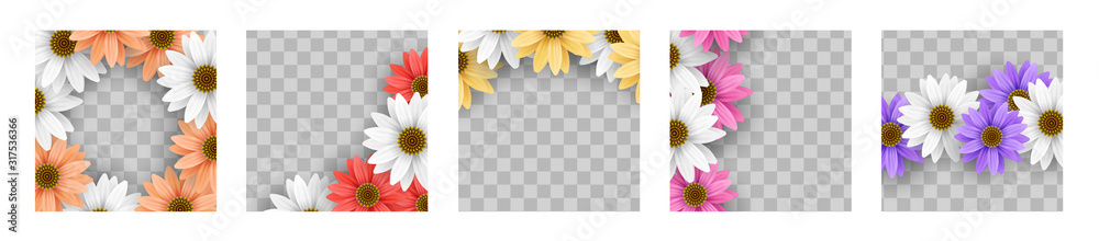Set of colorful gerbera daisy flower floral frame on transparent ...