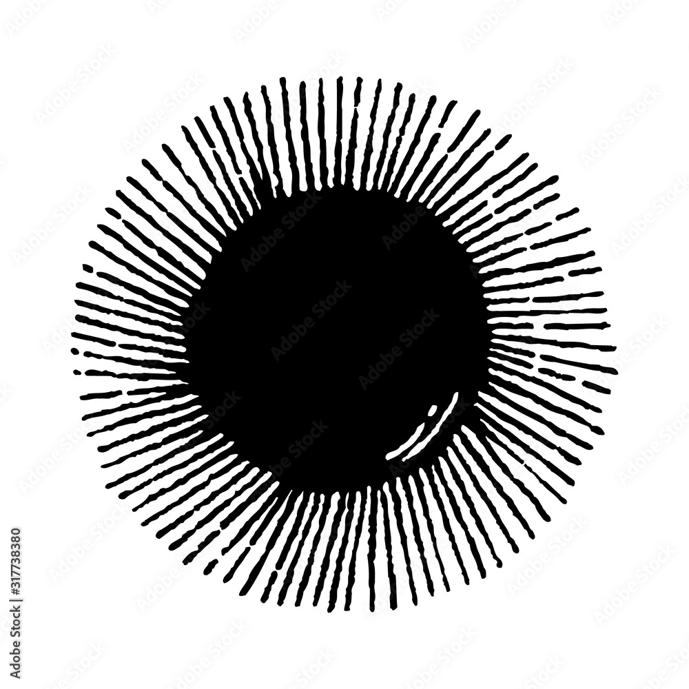 Sun engraving. Set of Sun. Hand drawn ethnic symbol. Stock Vector ...