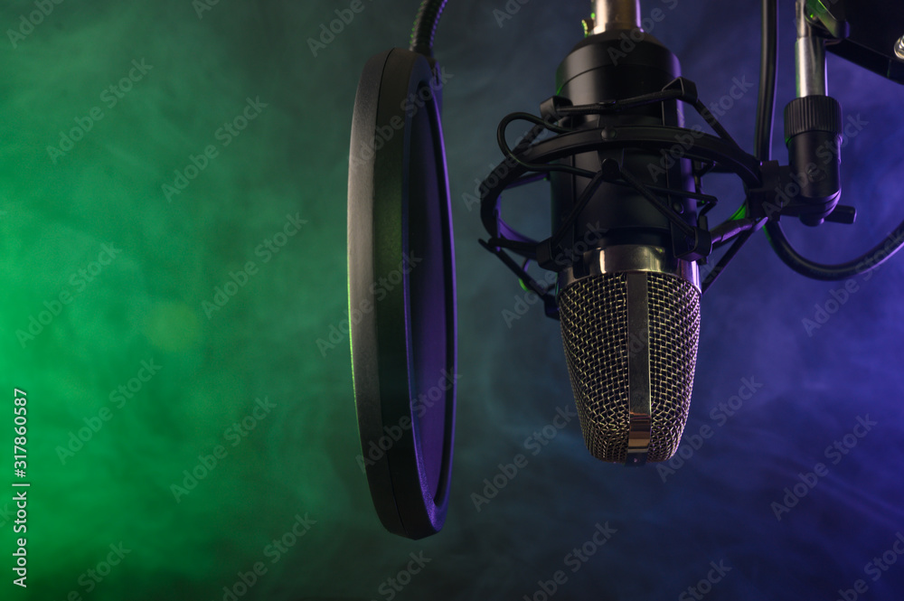 studio condenser microphone with pop-filter and anti-vibration mount ...