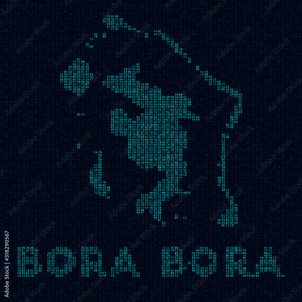 Bora Bora tech map. Island symbol in digital style. Cyber map of Bora ...