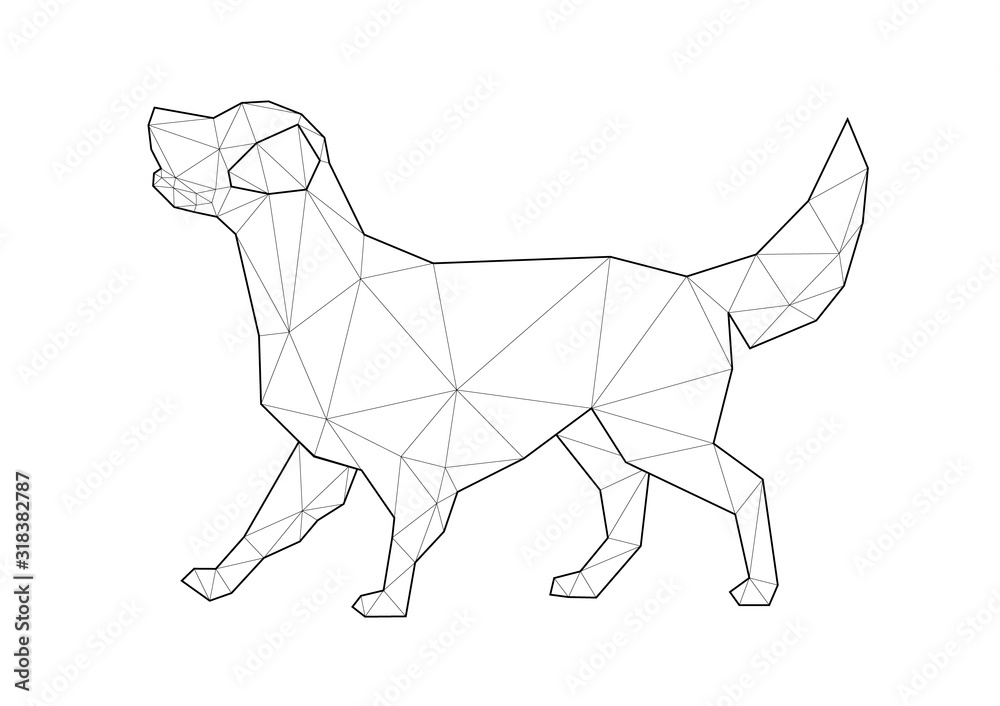 Low poly illustrations of dogs. Labrador walking on white background ...