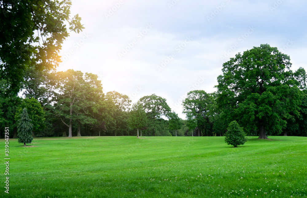 Fresh air and beautiful natural landscape of meadow with green tree in ...