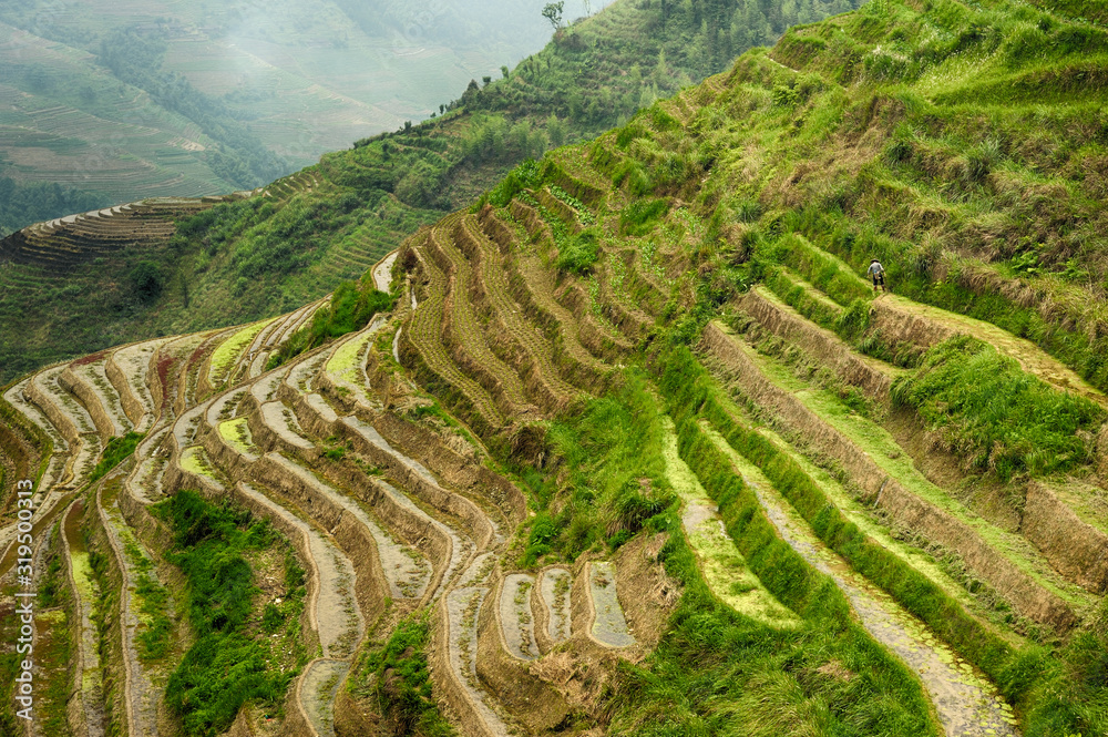 Famous rice terraces fields in Longsheng, China Stock Photo | Adobe Stock
