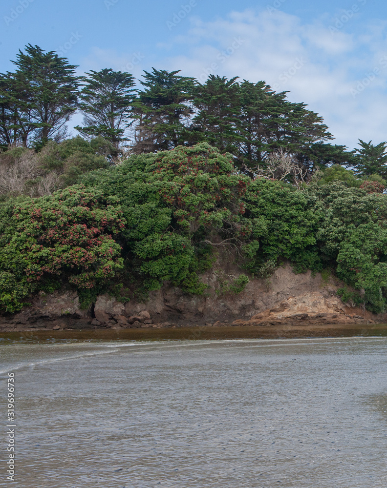 Rivermouth. Ngataki stream. Rarawa Beach. Mangrove. Henderson Bay ...