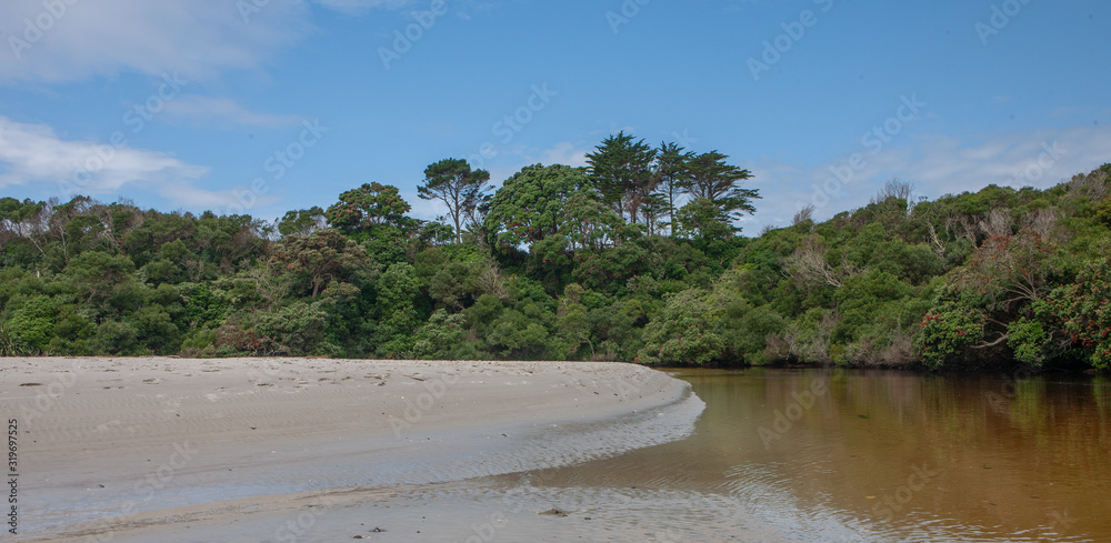 Rivermouth. Ngataki stream. Rarawa Beach. Mangrove. Henderson Bay ...