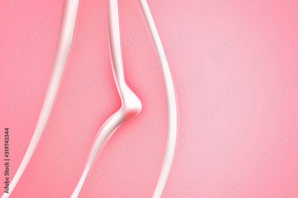 Female reproductive system and clitoris. Anatomical structure of the ...