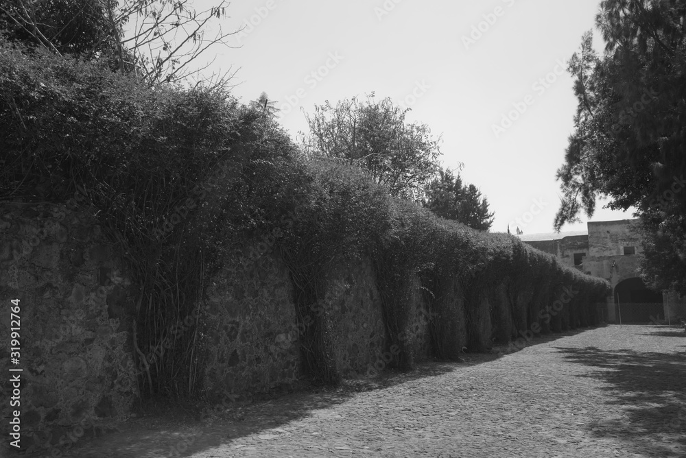 Part of the square of The Ex-Convento Dominico de La Natividad is the ...