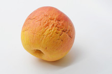 Orange And Shrivelled Rosehips Free Stock Photo - Public Domain Pictures