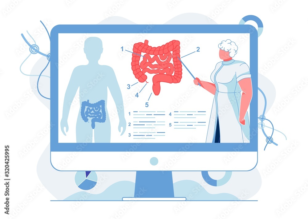 Intestinal Tract Study Flat Vector Illustration Stock Vector | Adobe Stock