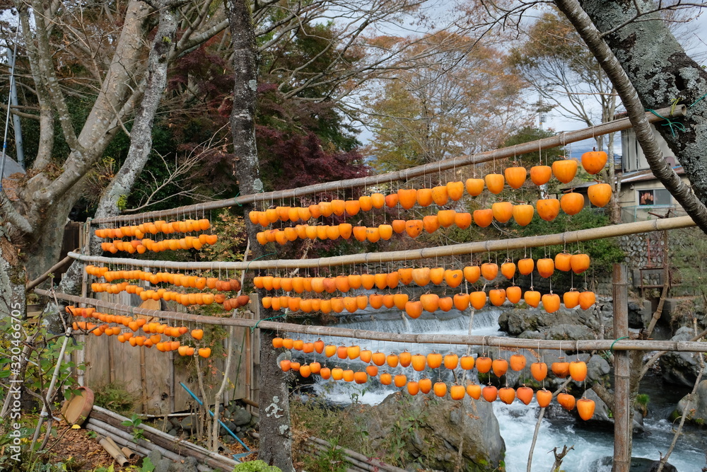 For centuries, the Japanese have been making dried persimmons, called ...