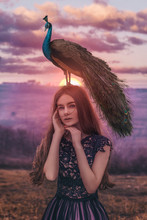 Lady Bird Head Photocollage Free Stock Photo - Public Domain Pictures