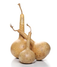 Calabash Container Free Stock Photo - Public Domain Pictures