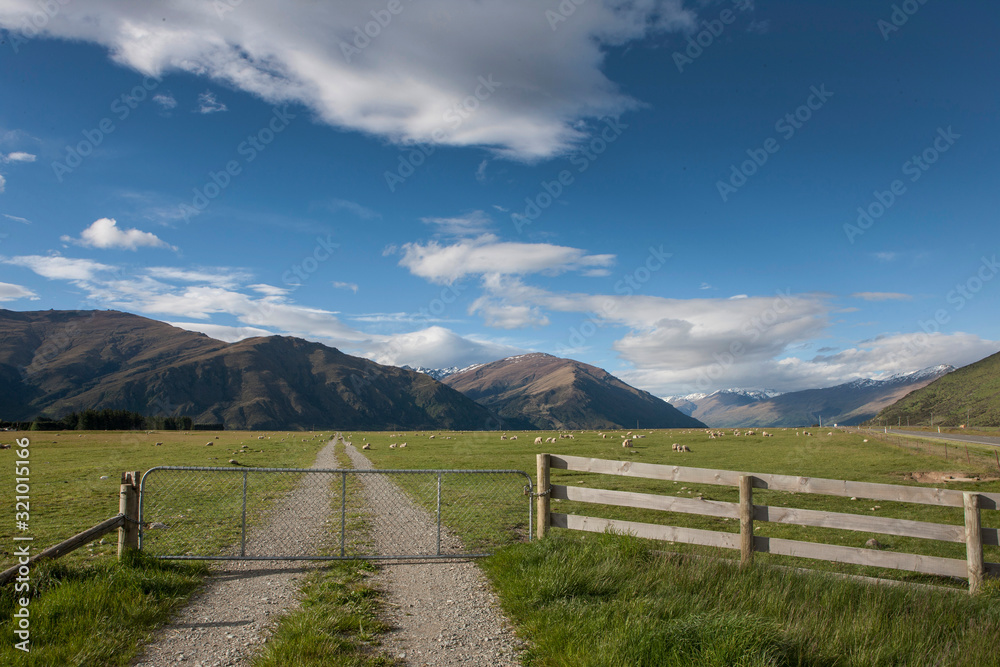 Highlands near Garston. Valley. Road to farm countryside. New Zealand ...
