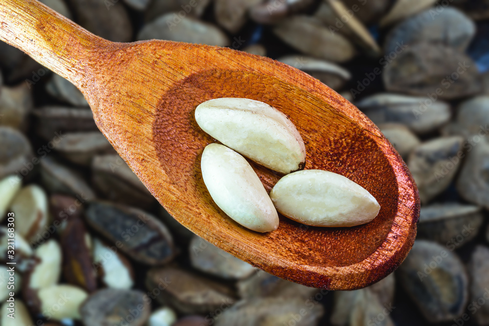 Brazil nut, Brazilian chestnut seed, a delicacy from the Amazon grown ...