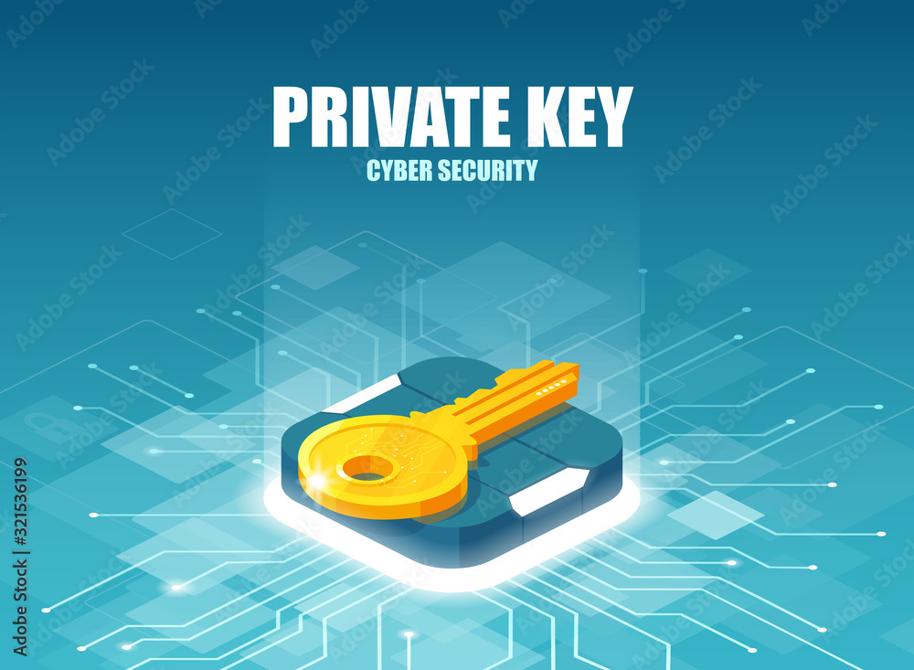 Cyber security and private key concept Stock Vector | Adobe Stock