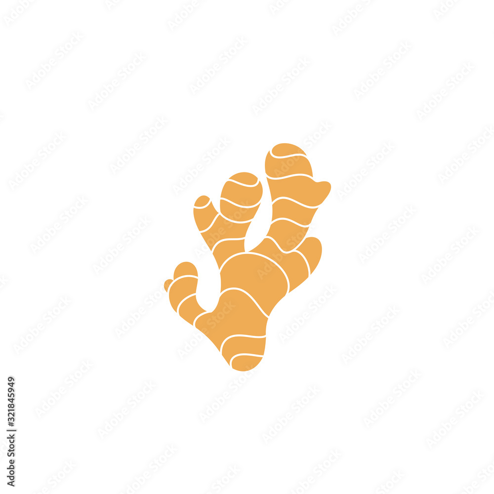 Ginger root Stock Vector | Adobe Stock