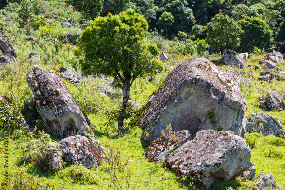 Paisagem com árvore e rochas Stock Photo | Adobe Stock