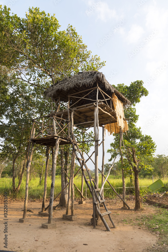 Elephant viewing platform for spotting wild elephants that may threaten ...