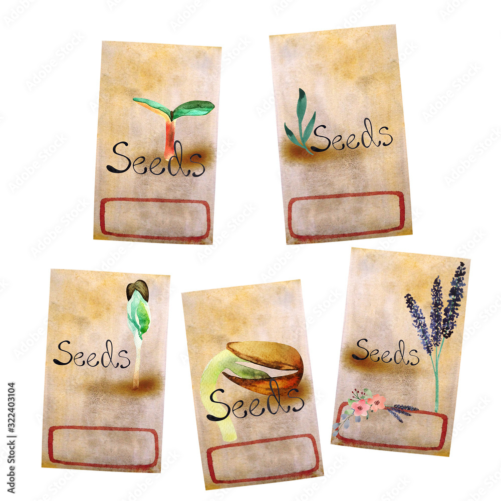 Watercolor packs for seeds of different design isolated on white ...