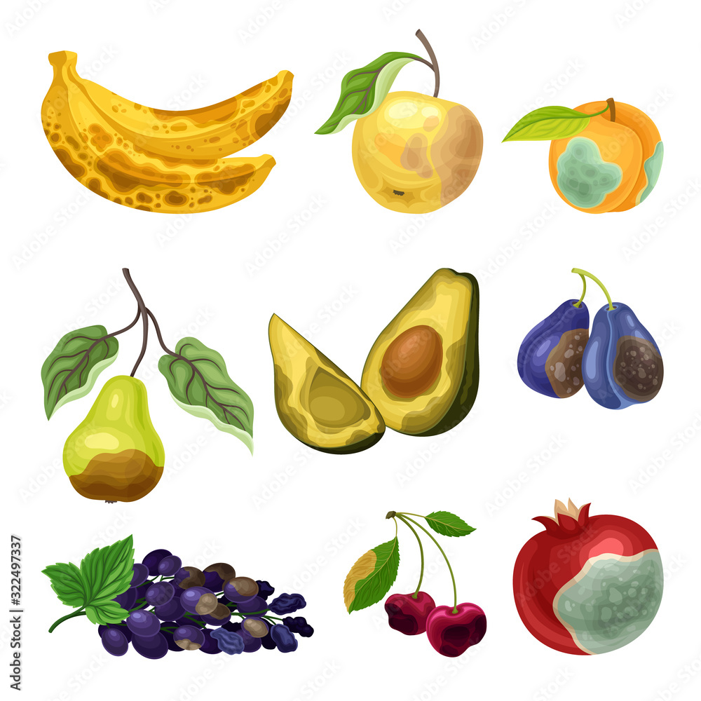 Rotten Fruits with Stinky Rot Covered the Skin Vector Set Stock Vector ...