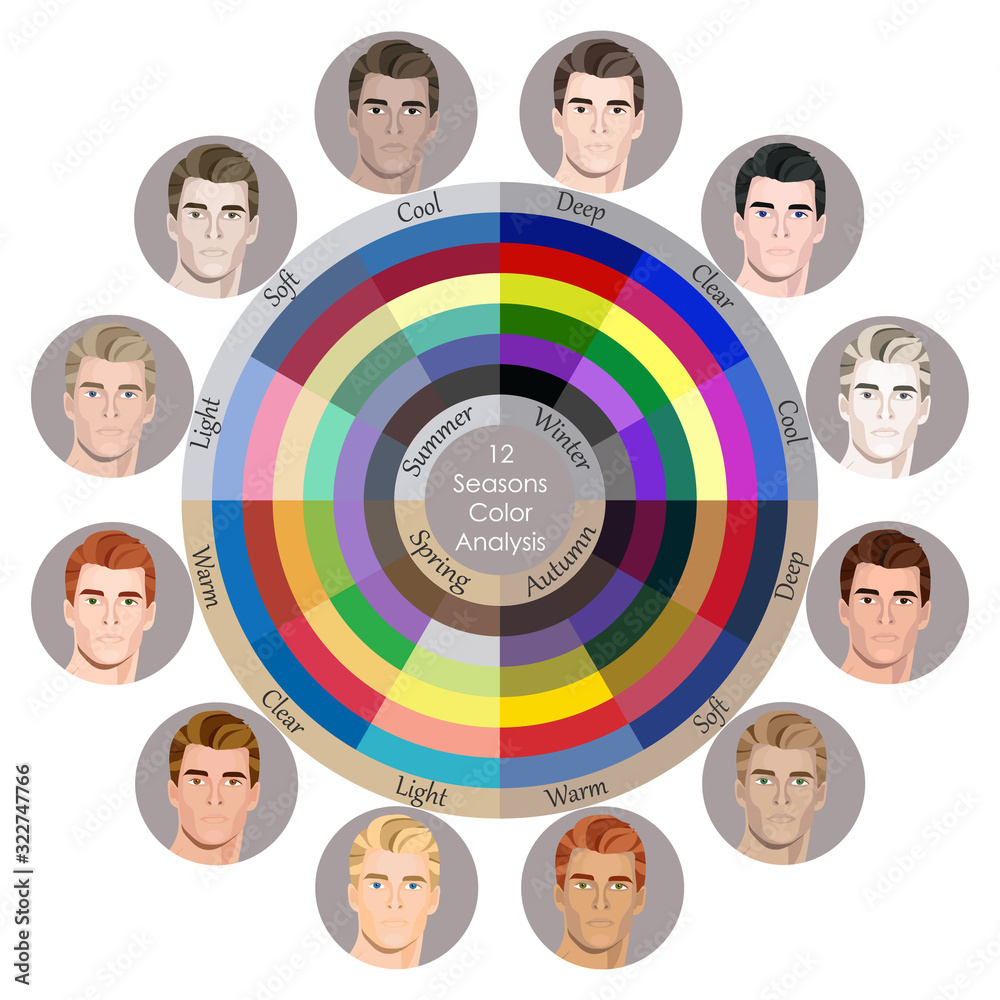 Stock vector seasonal color analysis palette for all types of male ...