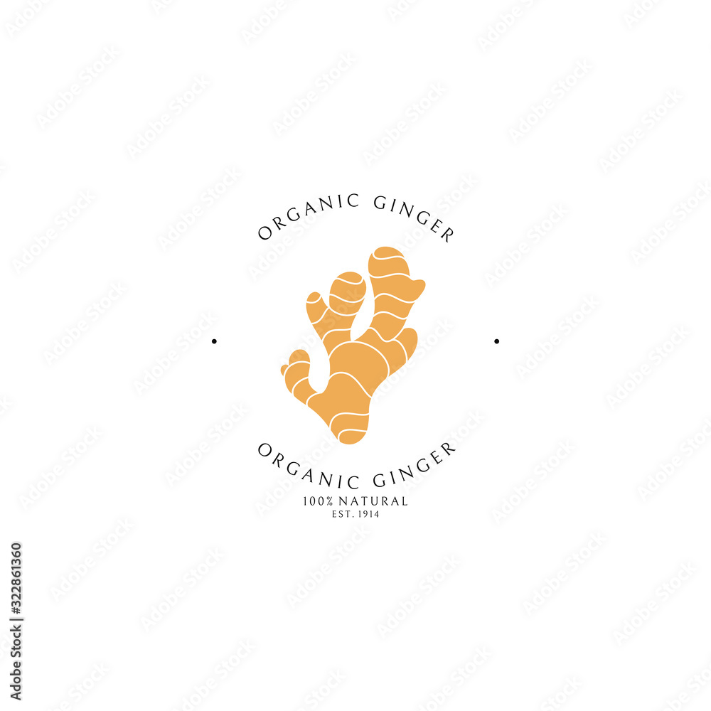 Ginger root. Logo template 素材庫向量圖 | Adobe Stock